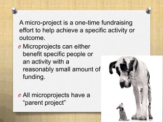 Microprojects Webinar | PPTX