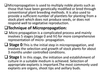 Micropropagation | PPTX