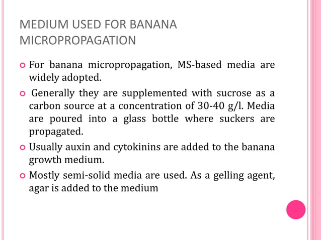 Micropropagation of banana | PPTX | Gardening | Home & Garden