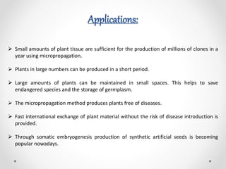 Micropropagation | PPTX