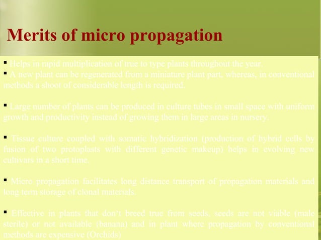 Micropropagation | PPT