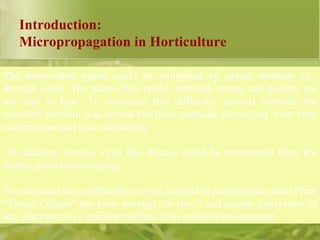 Micropropagation | PPT