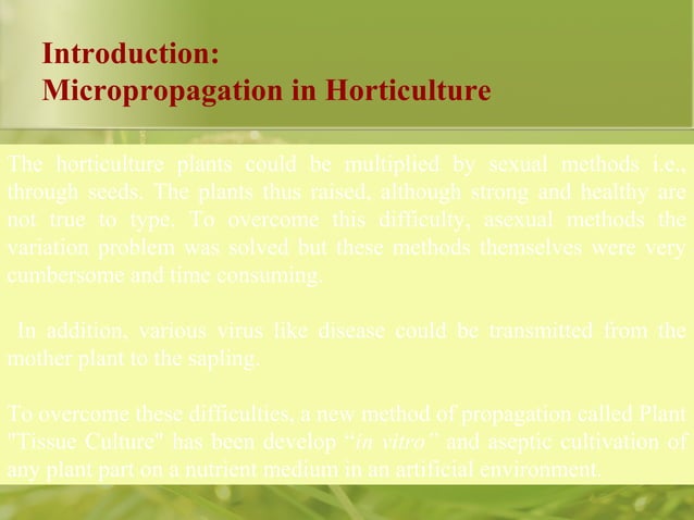 Micropropagation | PPT
