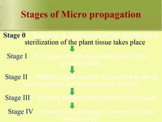 Micropropagation | PPT