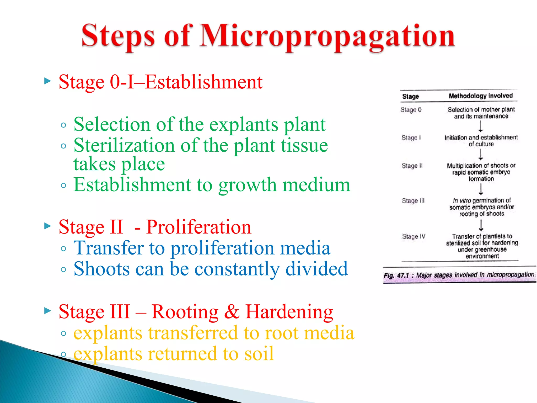 Micro propagation | PPT