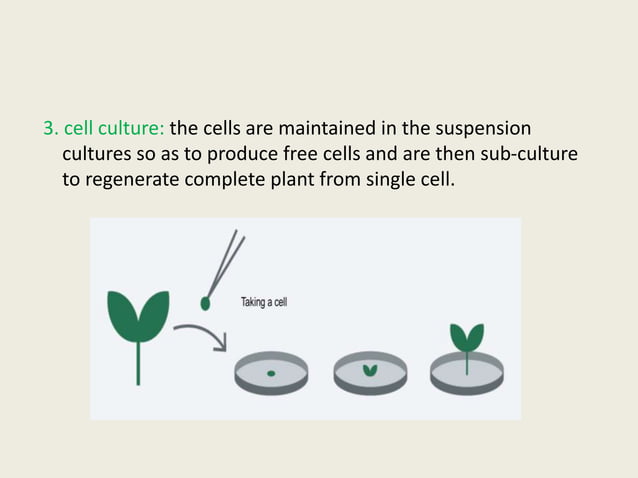 Micropropagation and commercial exploitation in horticulture crops | PPTX