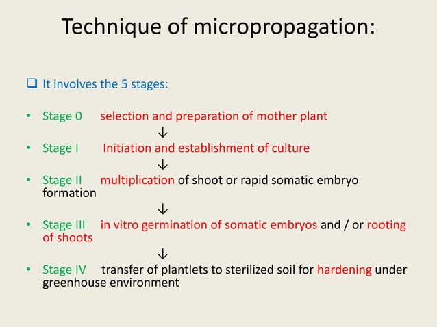 Micropropagation and commercial exploitation in horticulture crops | PPTX