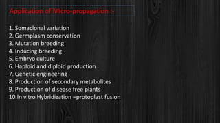 Micropropagation | PPTX