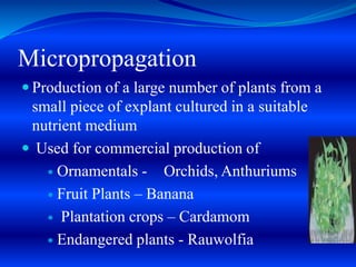 MICROPROPAGATION SMG | PPTX