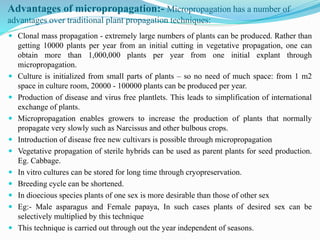 Micropropagation | PPTX