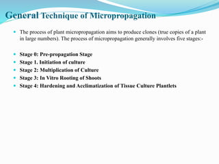 Micropropagation | PPTX