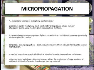 Micropropagation | PDF