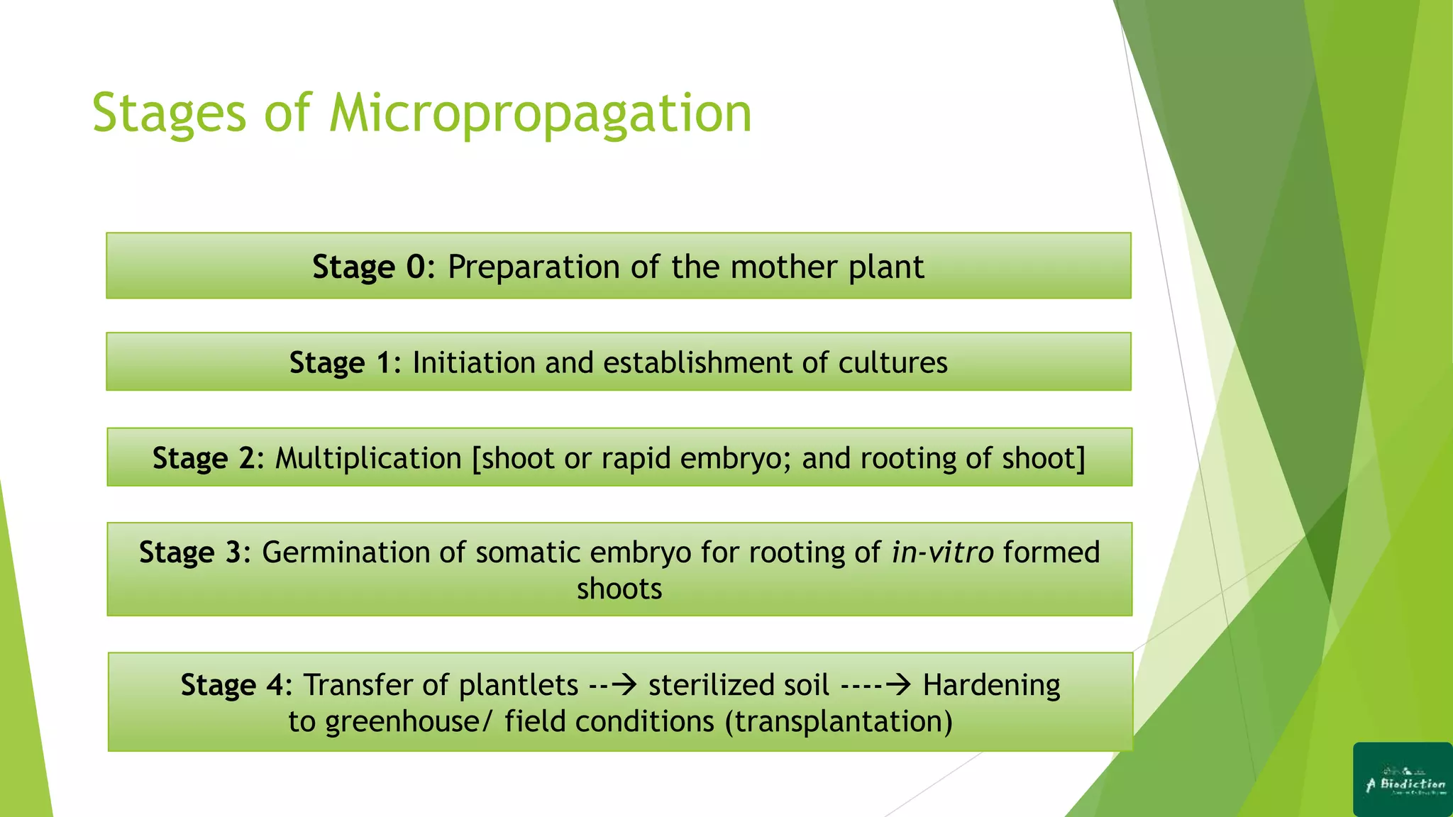 Micropropagation | PPTX