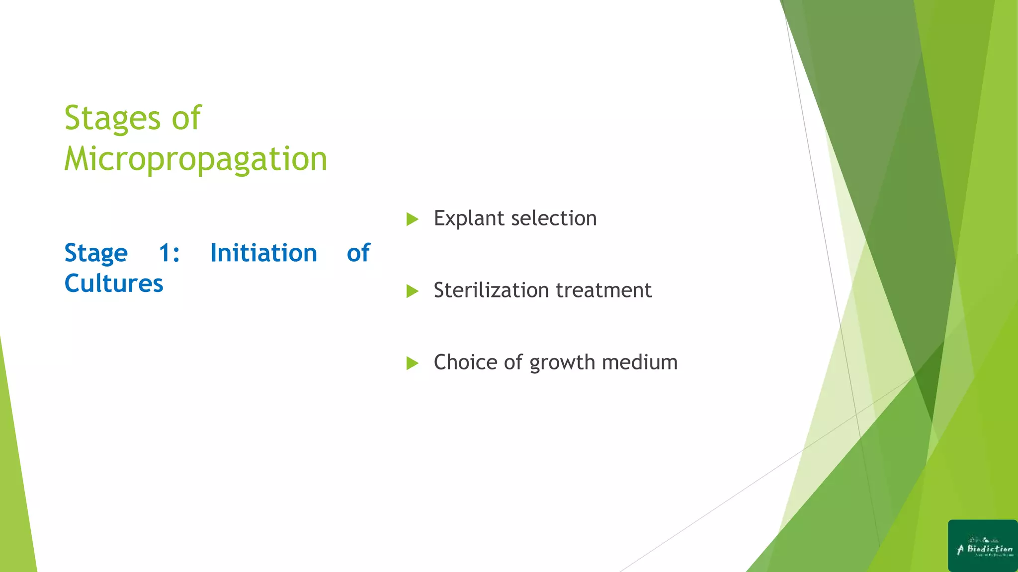 Micropropagation | PPTX