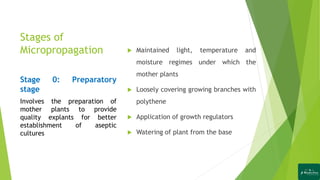 Micropropagation | PPTX