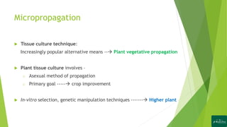 Micropropagation | PPTX