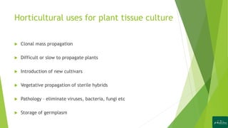 Micropropagation | PPTX