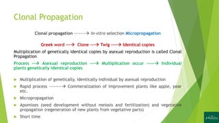 Micropropagation | PPTX