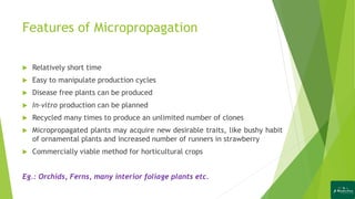 Micropropagation | PPTX