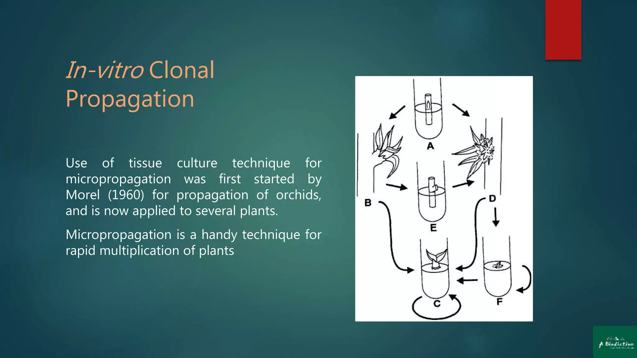 Clonal Propagation: Introduction, Techniques, Factors, Applications and ...