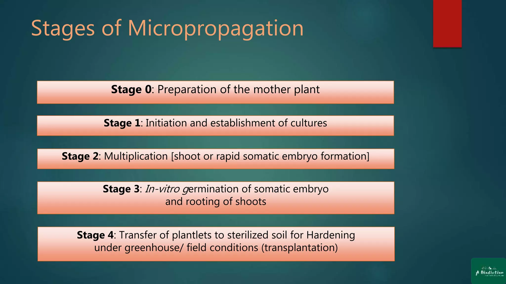Clonal Propagation: Introduction, Techniques, Factors, Applications and ...