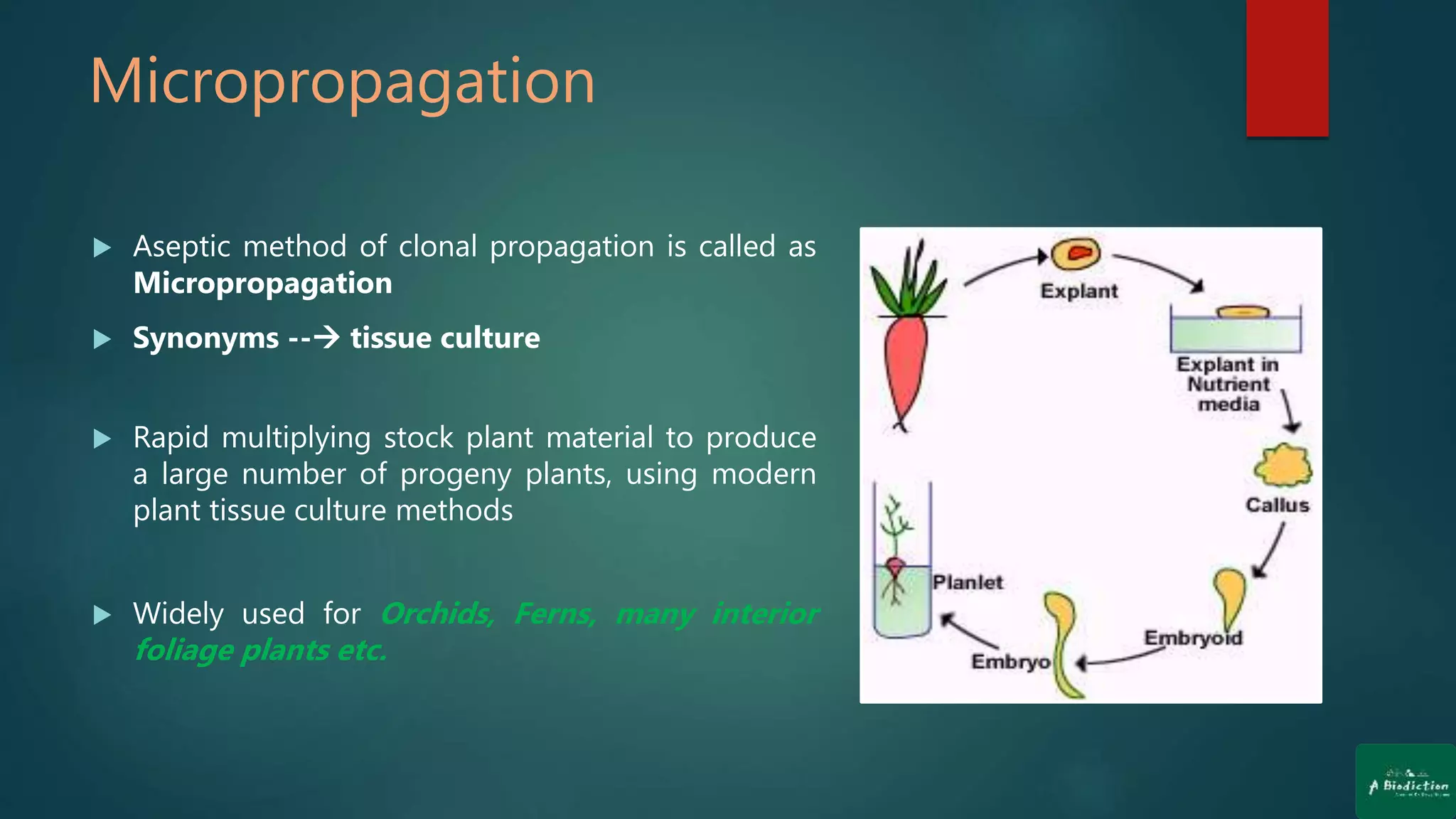 Clonal Propagation: Introduction, Techniques, Factors, Applications and ...