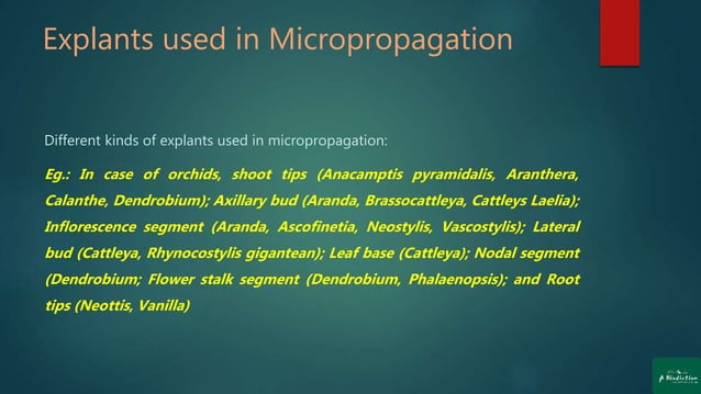 Clonal Propagation: Introduction, Techniques, Factors, Applications and ...