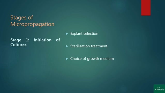 Clonal Propagation: Introduction, Techniques, Factors, Applications and ...
