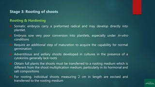 Clonal Propagation: Introduction, Techniques, Factors, Applications and ...
