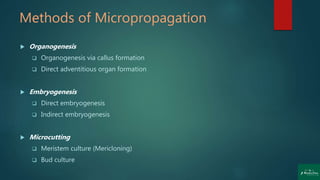 Clonal Propagation: Introduction, Techniques, Factors, Applications and ...