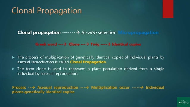 Clonal Propagation: Introduction, Techniques, Factors, Applications and ...