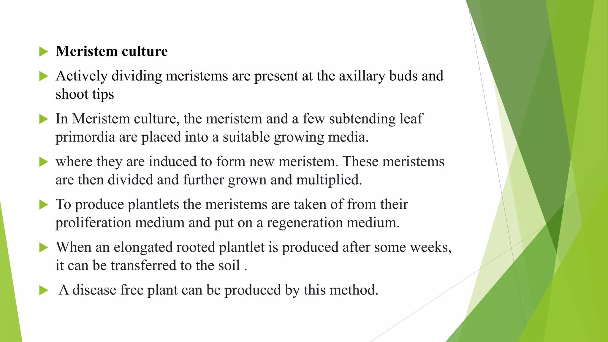 Micropropagation.pptx