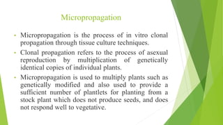 Micropropagation.pptx