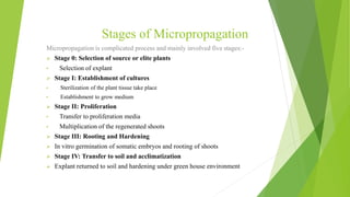 Micropropagation.pptx