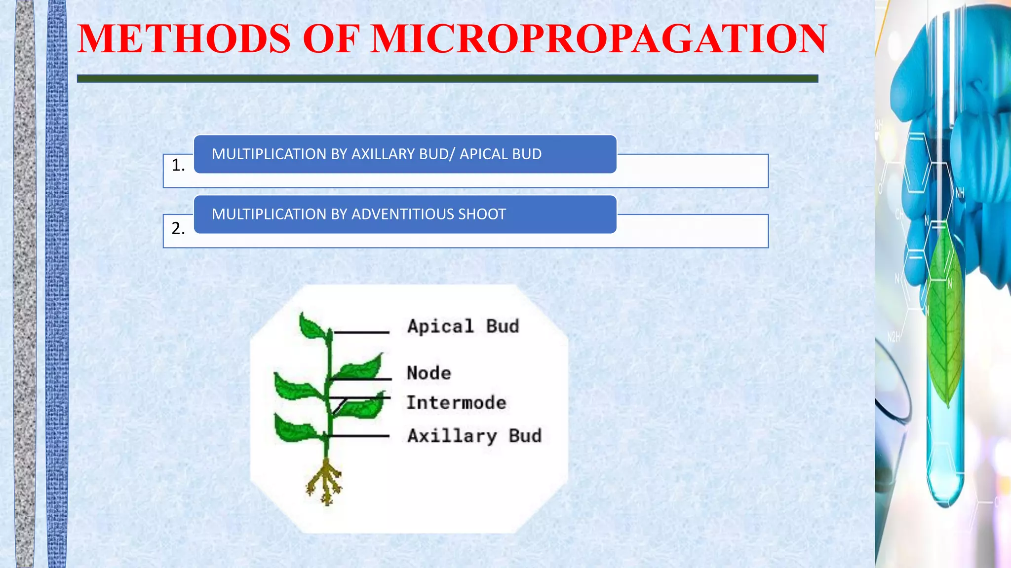 MICROPROPAGATION.pdf