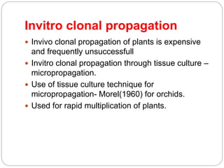 Micropropagation technique | PPTX