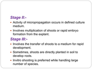 Micropropagation technique | PPTX