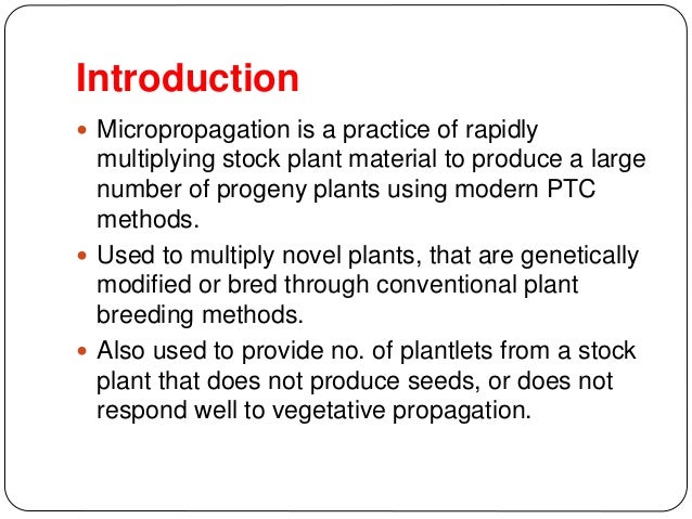 Micropropagation technique