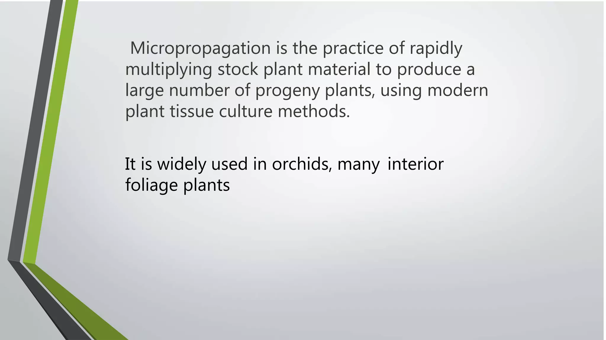 MICROPROPAGATION (1).doc