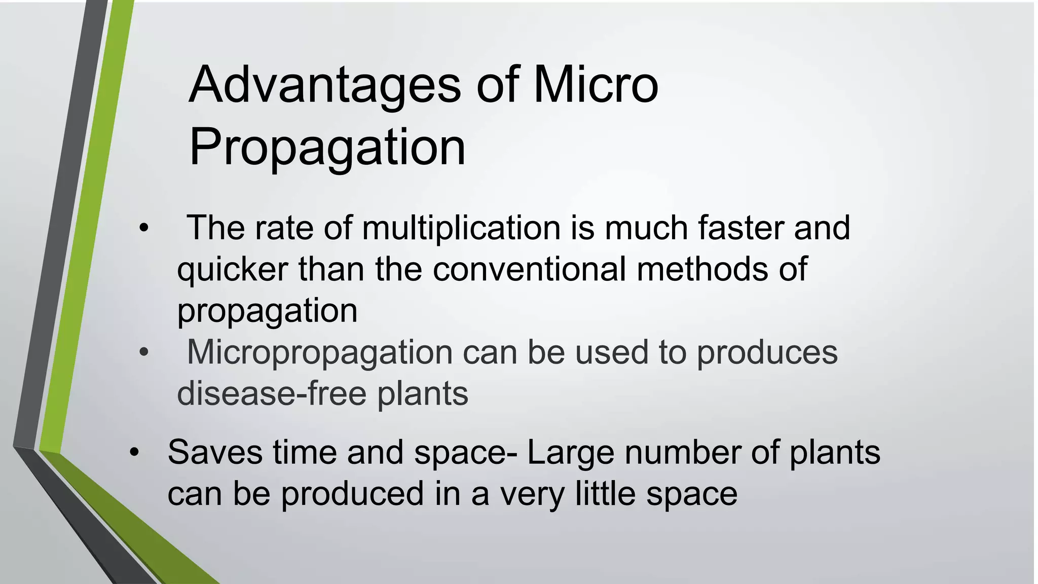 MICROPROPAGATION (1).doc