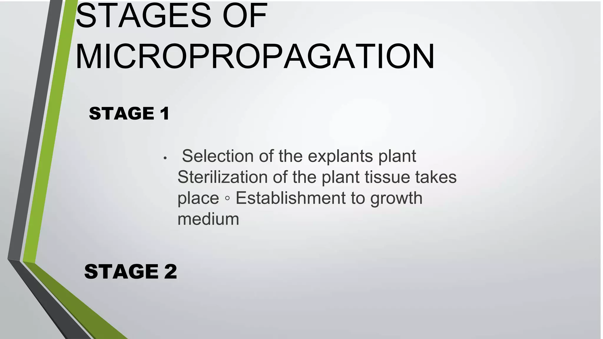 MICROPROPAGATION (1).doc