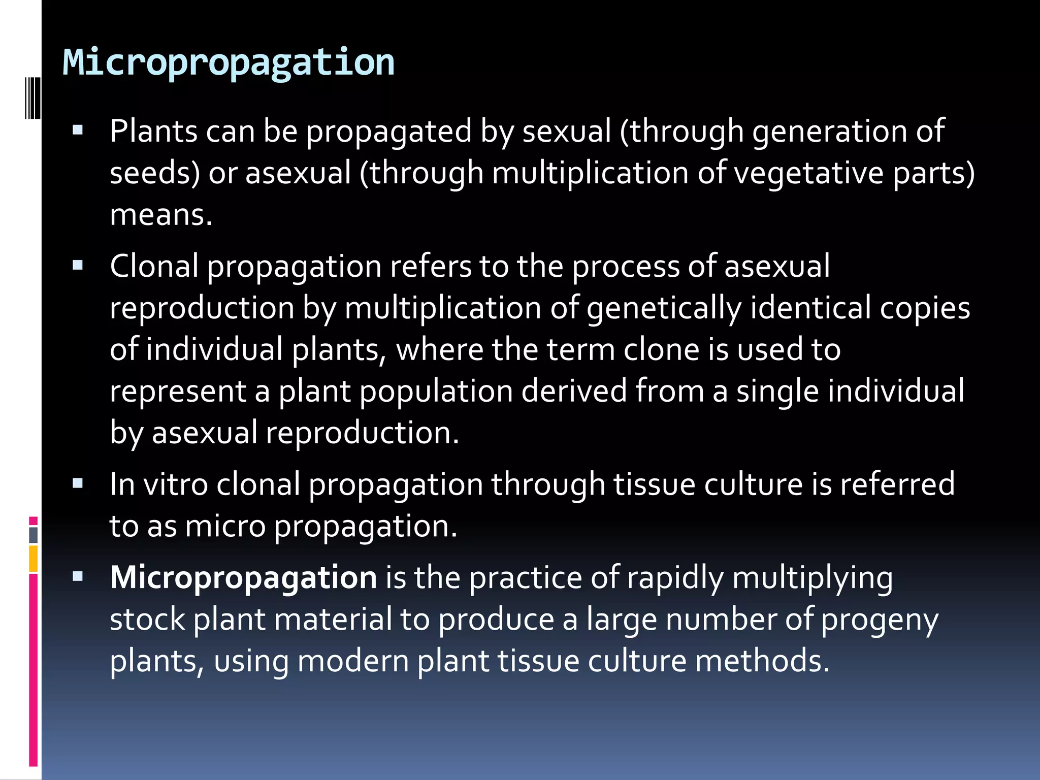 Micropropagation | PPTX