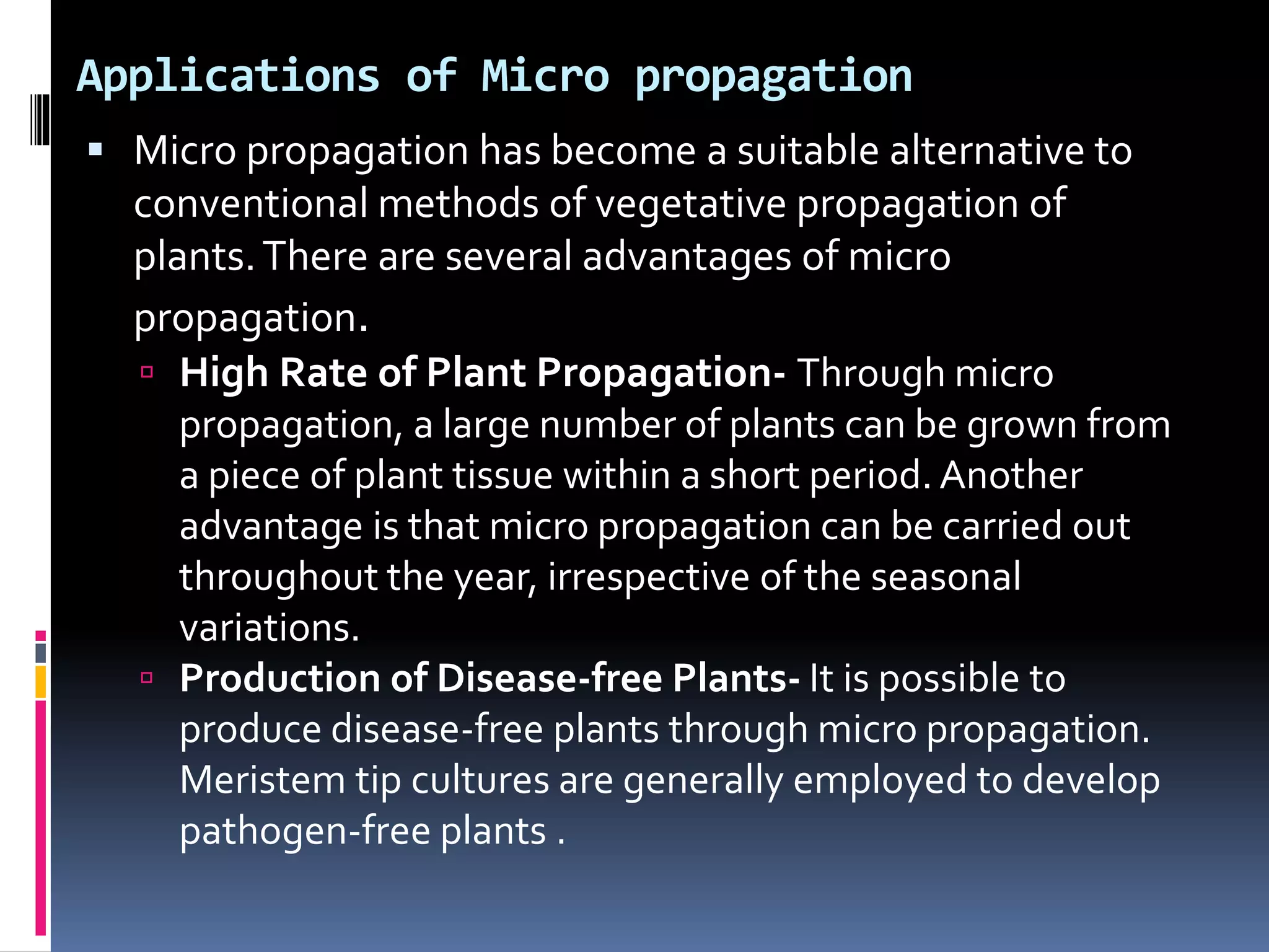 Micropropagation | PPTX