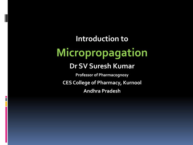 Micropropagation | PPTX