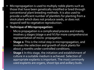 Micropropagation | PPTX