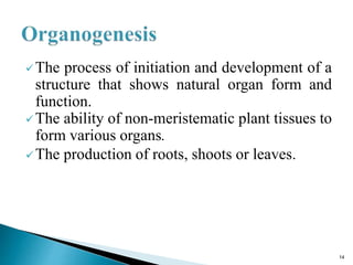 Micropropagation stage, plant tissue culture | PPT