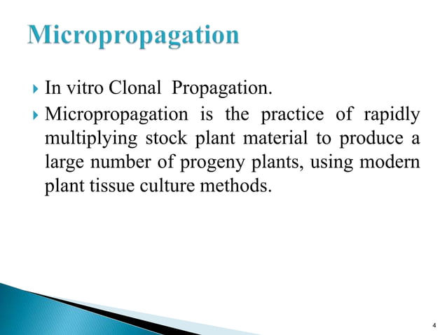 Micropropagation stage, plant tissue culture | PPT