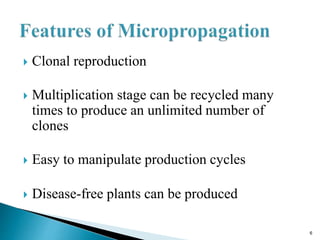 Micropropagation stage, plant tissue culture | PPT