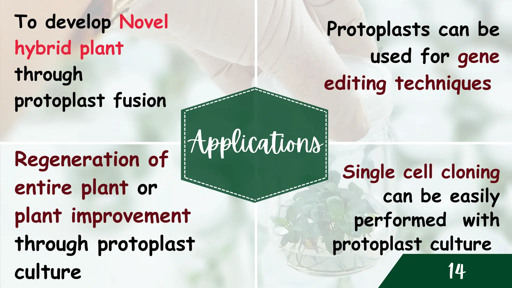 Micropropagation or plant tissue culture and types | PDF