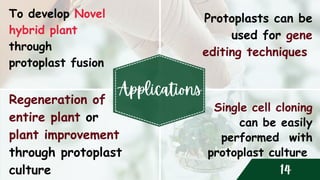 Micropropagation or plant tissue culture and types | PDF